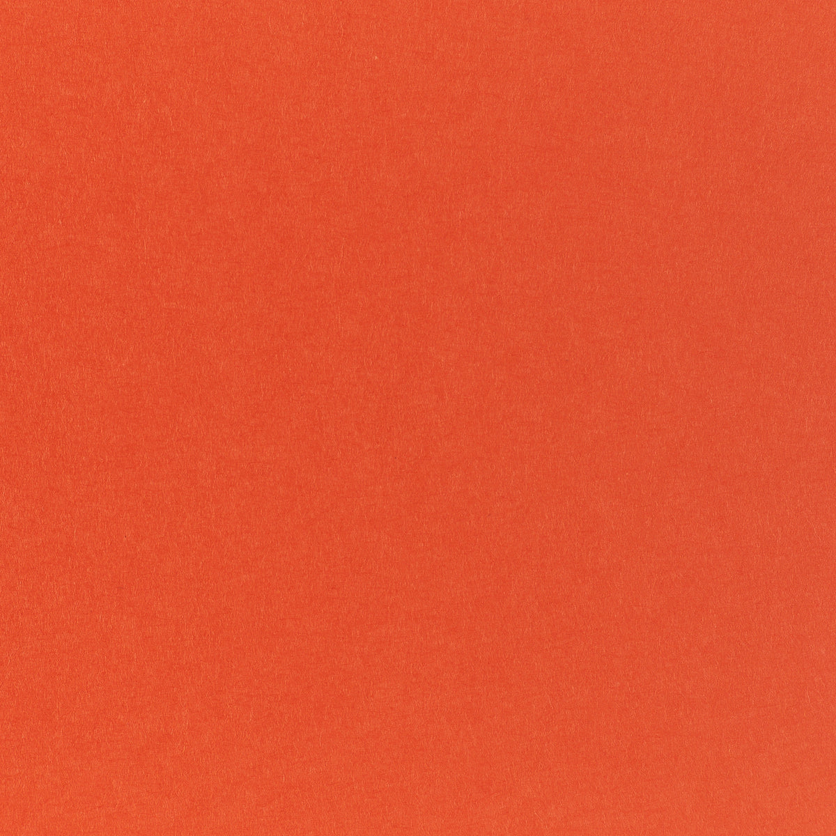 Orange Light Paper (Glo-Tone, Text Weight) – French Paper