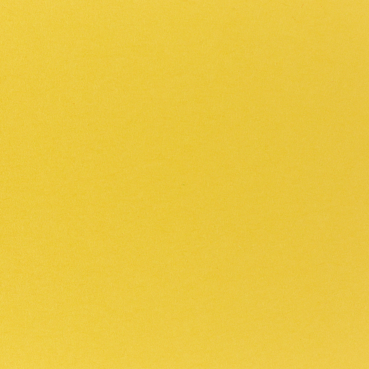 Shocking Yellow Paper (Glo-Tone, Text Weight) – French Paper