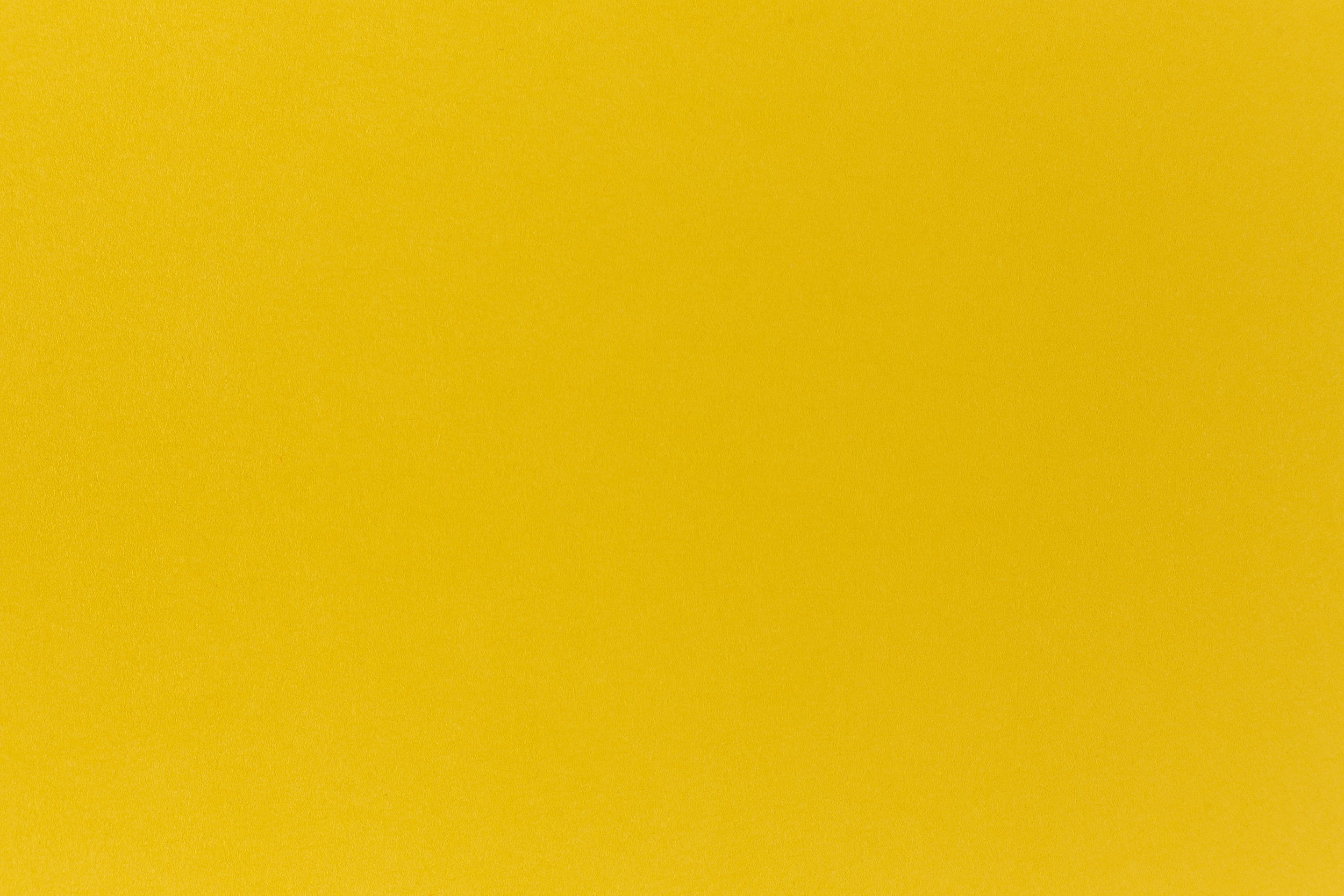 Sun Light Paper (Glo-Tone, Text Weight) – French Paper