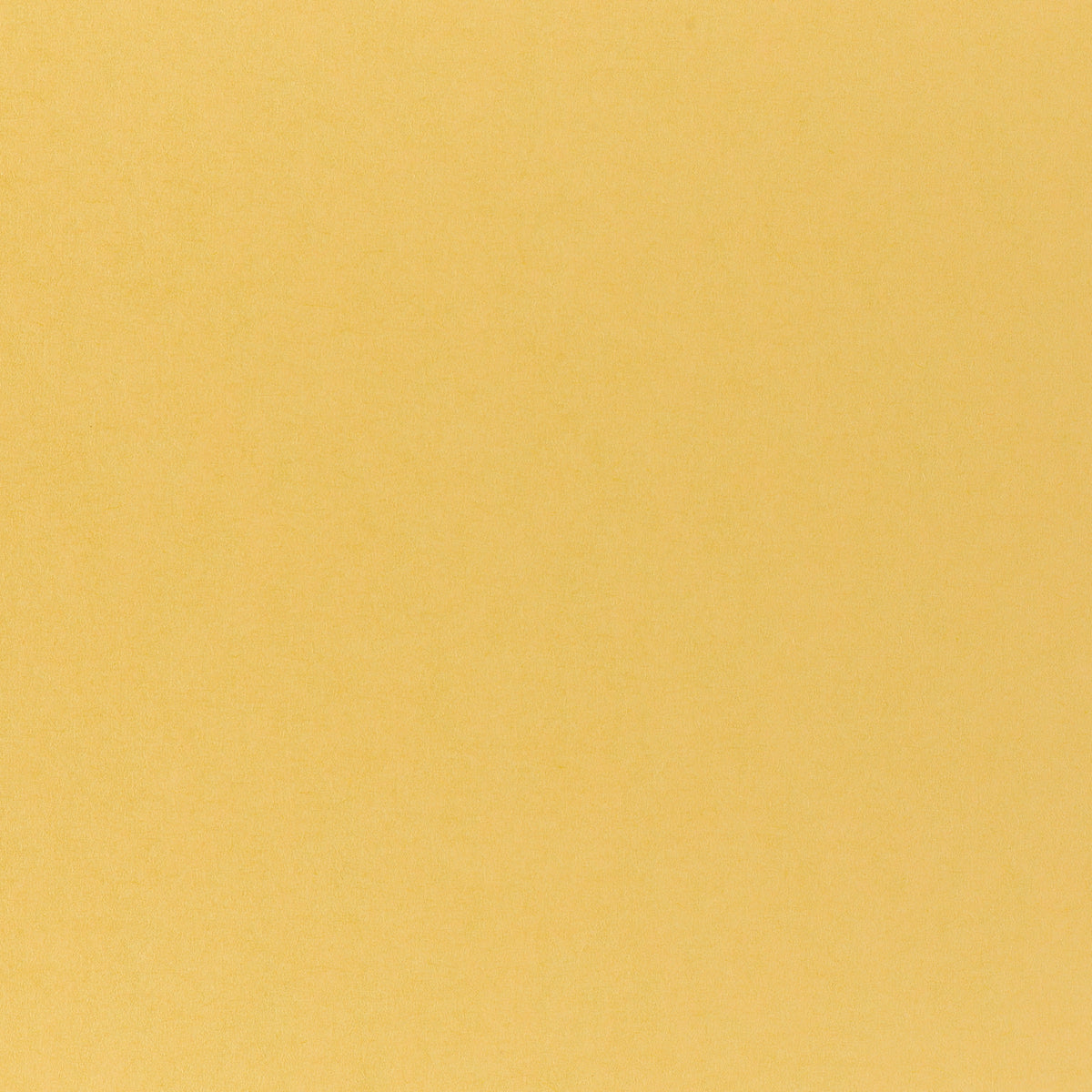 Yellow Light Envelope (Glo-Tone) – French Paper