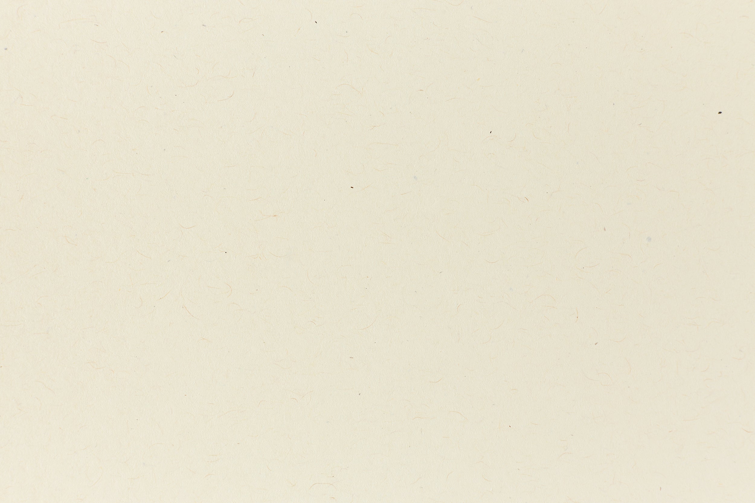 Index Off-White Cardstock - Cover Weight Paper - Kraft-Tone – French Paper