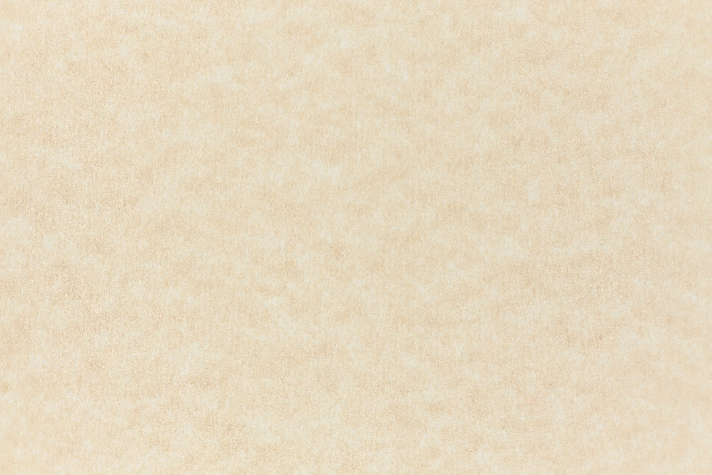Light Parchment Texture