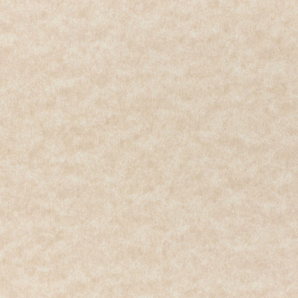 Camel Paper (Parchtone, Text Weight) – French Paper