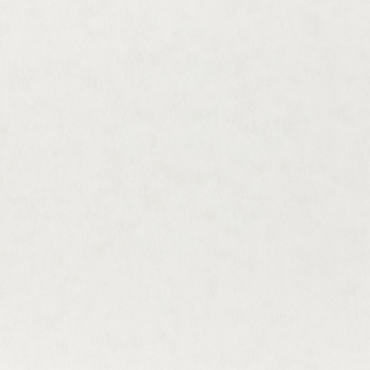 Fleece White Envelope (Parchtone) – French Paper