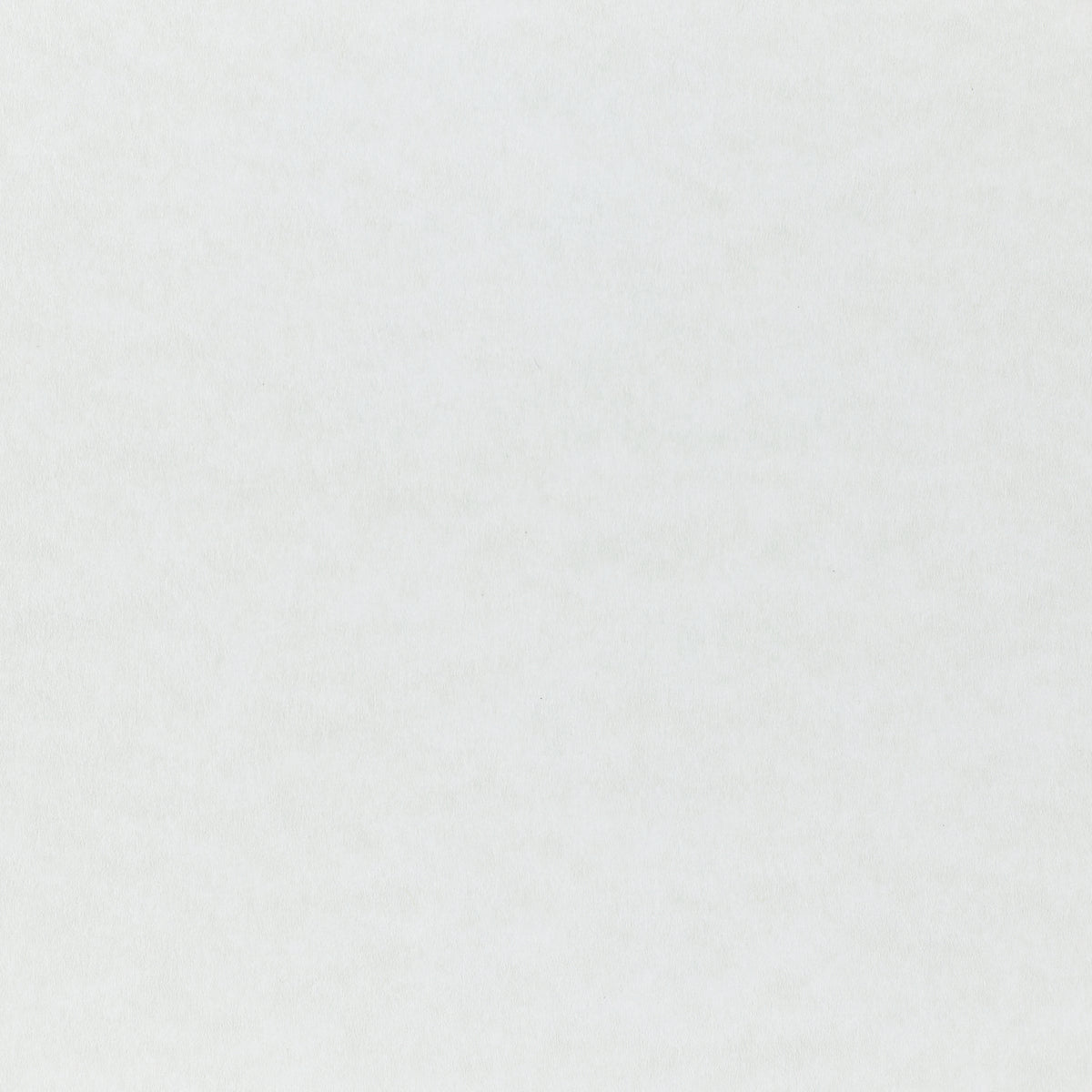 Mist Cardstock - Light Blue Cover Weight Paper - Parchtone – French Paper