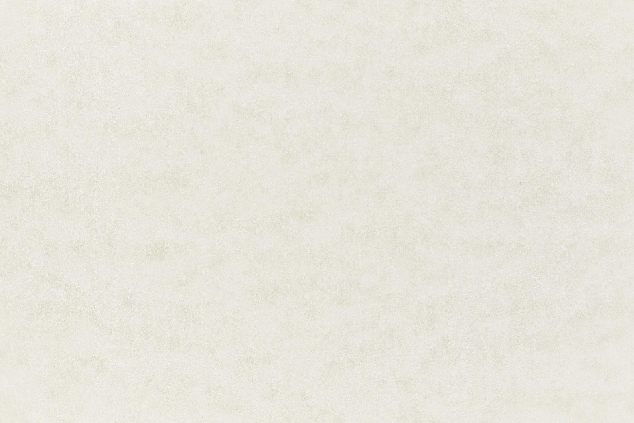 Natural Cardstock - White Cover Weight Paper - Parchtone – French Paper