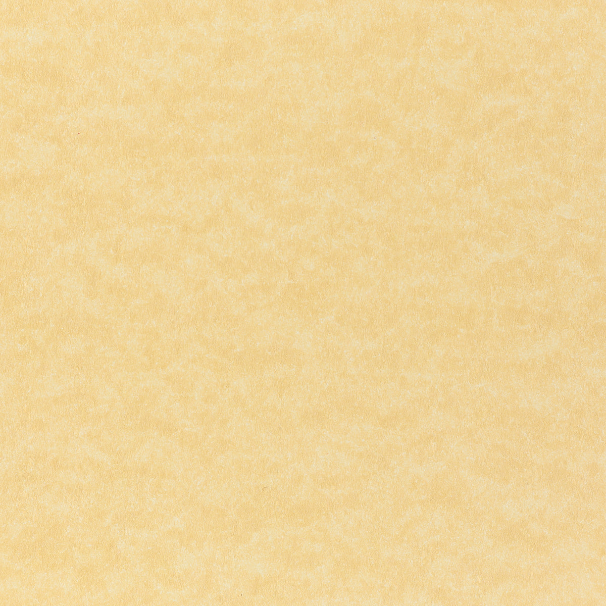 Relic Gold Cardstock - Cover Weight Paper - Parchtone – French Paper