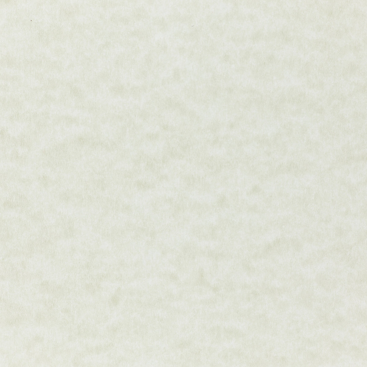Sage Cardstock - Blue-Green Cover Weight Paper - Parchtone – French Paper