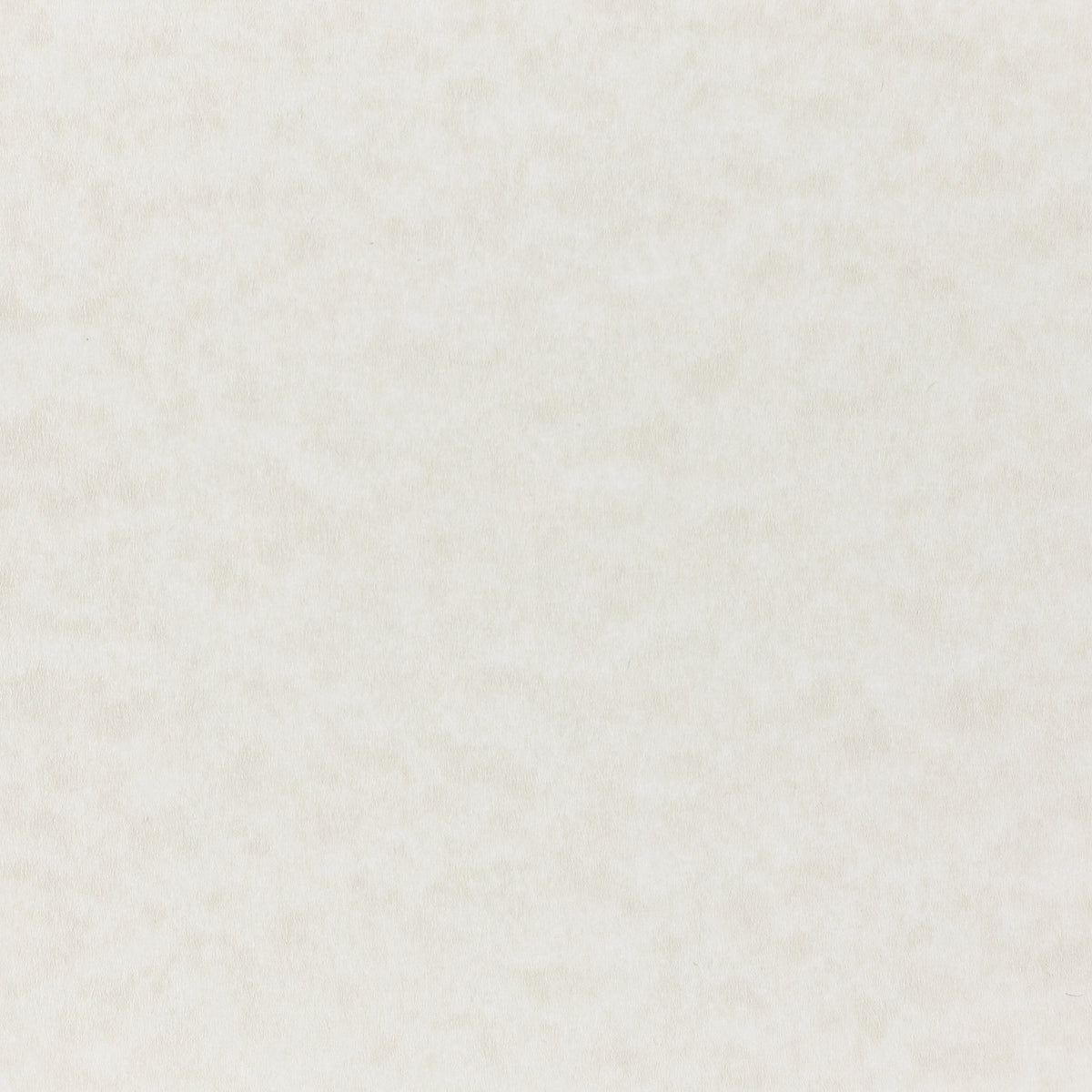 Storm Paper (Parchtone, Text Weight) – French Paper
