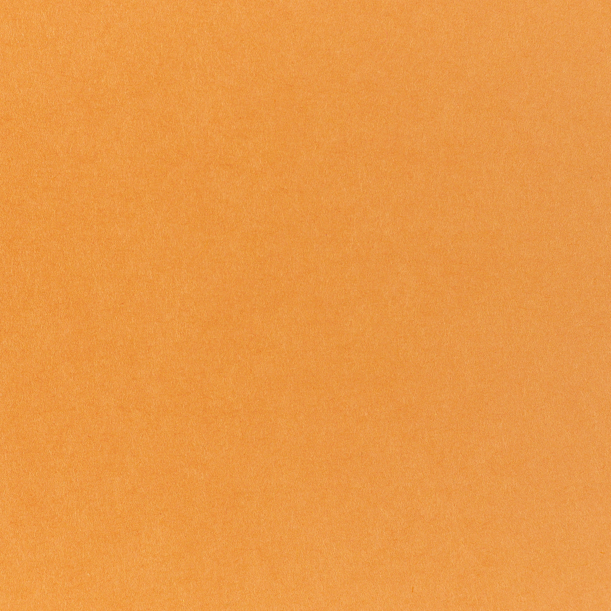 Orange Fizz Cardstock - Cover Weight - Pop-Tone – French Paper
