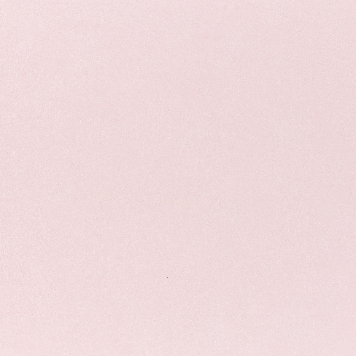 Pink Lemonade Envelope (Pop-Tone) – French Paper