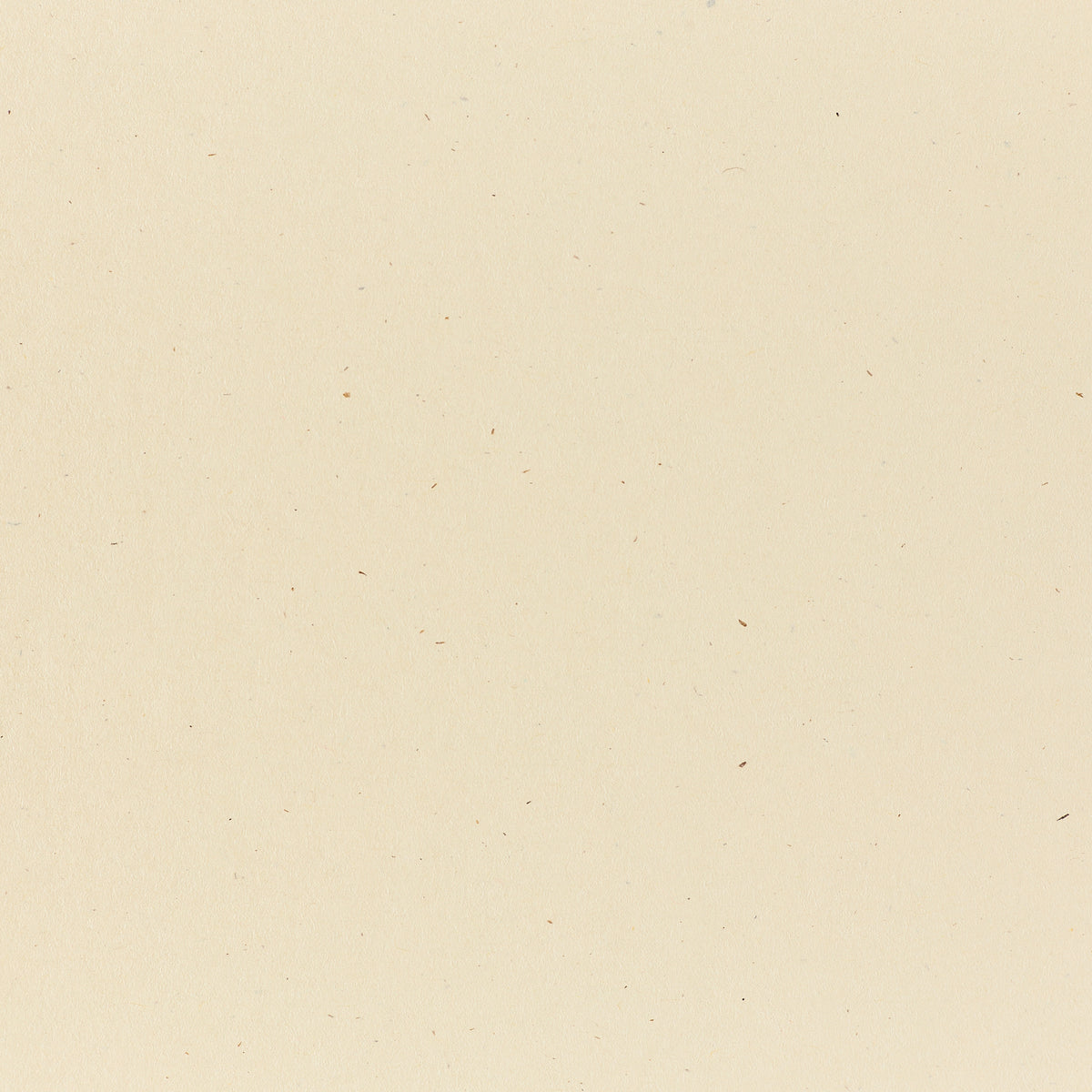 Cream Cardstock - Cover Weight Paper - Speckletone – French Paper