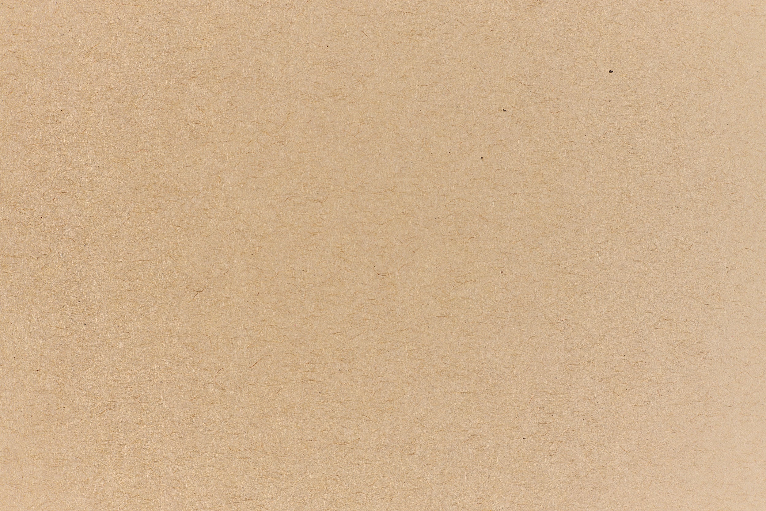Light Kraft Paper Texture