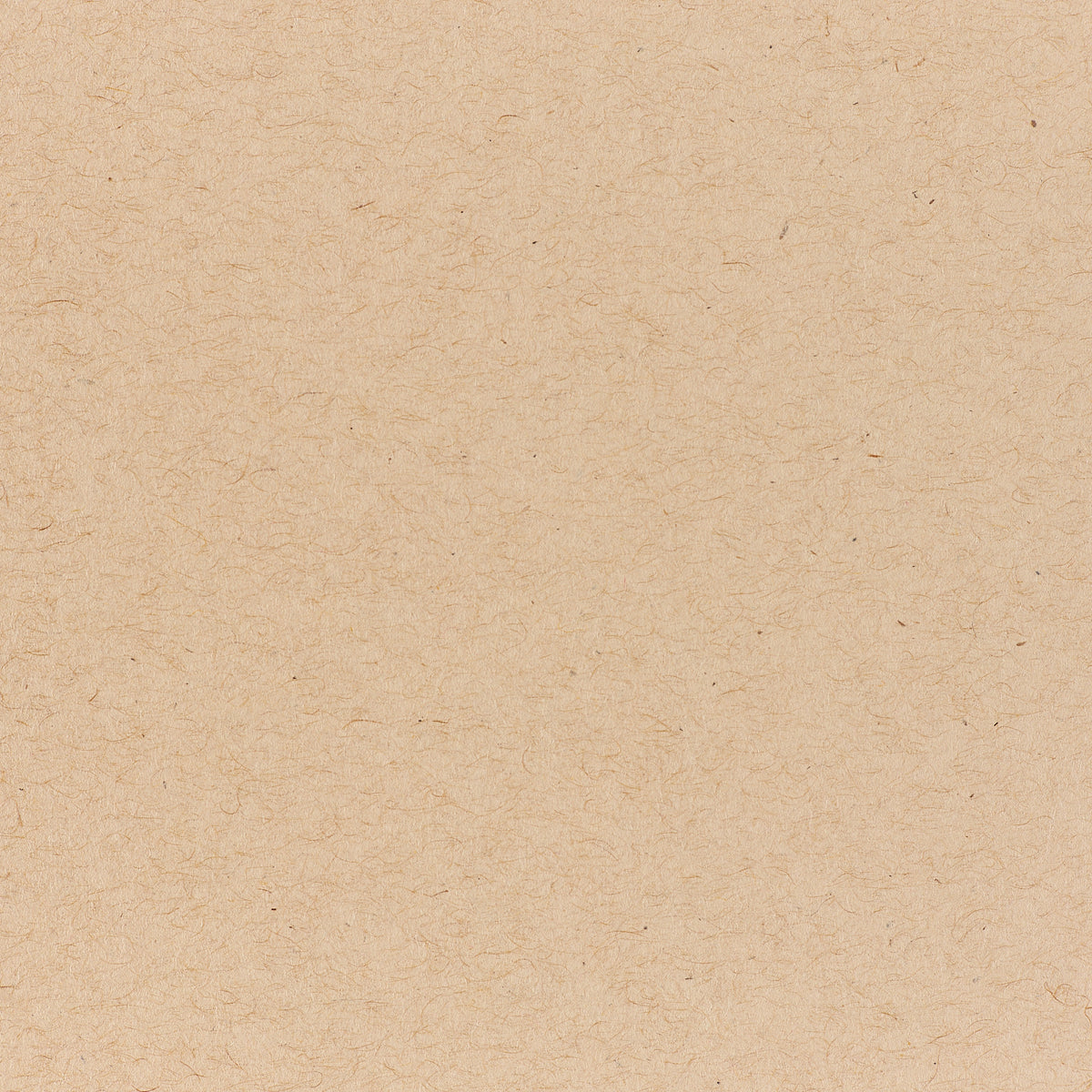 Oatmeal Cardstock - Tan Cover Weight Paper - Speckletone – French Paper